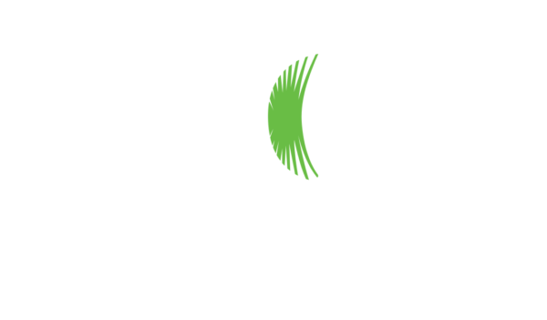 10R Logo Decal (10R-L1 through L6) - Miller Creative Group